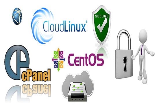 Install Setup Cpanel Server And Fix Any Errors For Apache Php Mysql Dns Emails By Mayankpal850 4982