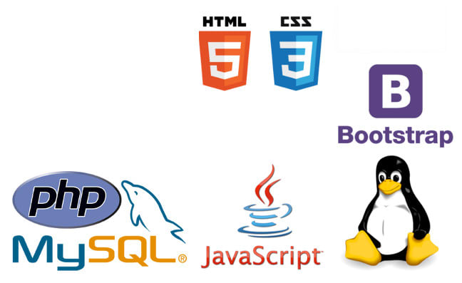 Do Php Html Css Javascript And Mysql By Tariqulbuap Fiverr