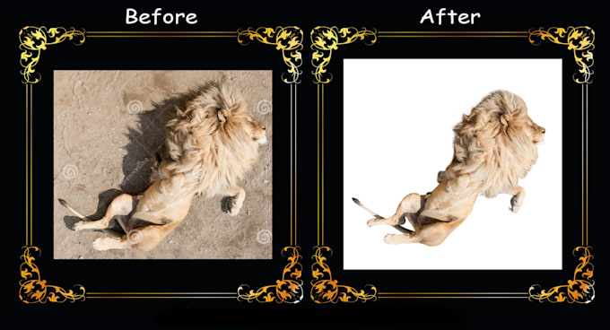 Do 10 image transparent background with png and psd by Jillur94 | Fiverr