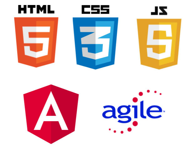 Develop front end using angular by Transcubetech | Fiverr