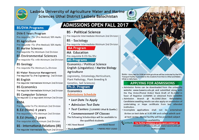 Design a well organized flyer or brochure for you by Graphicallife | Fiverr