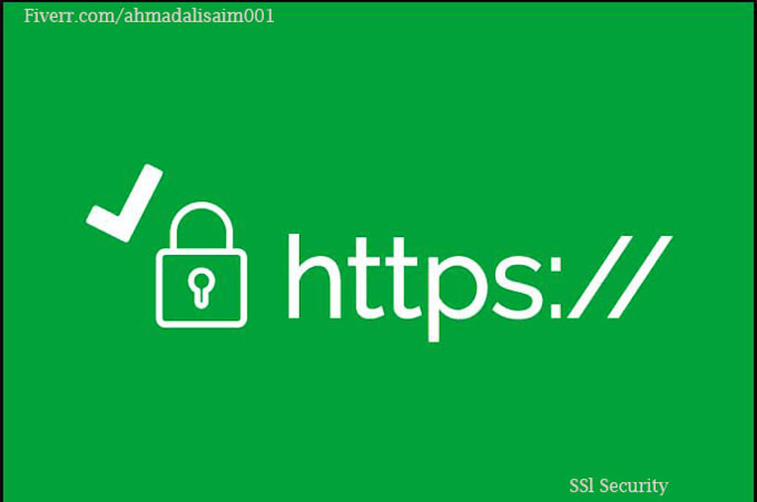 Secure your wordpress or any site with ssl and https by Ahmadalisaim001 | Fiverr