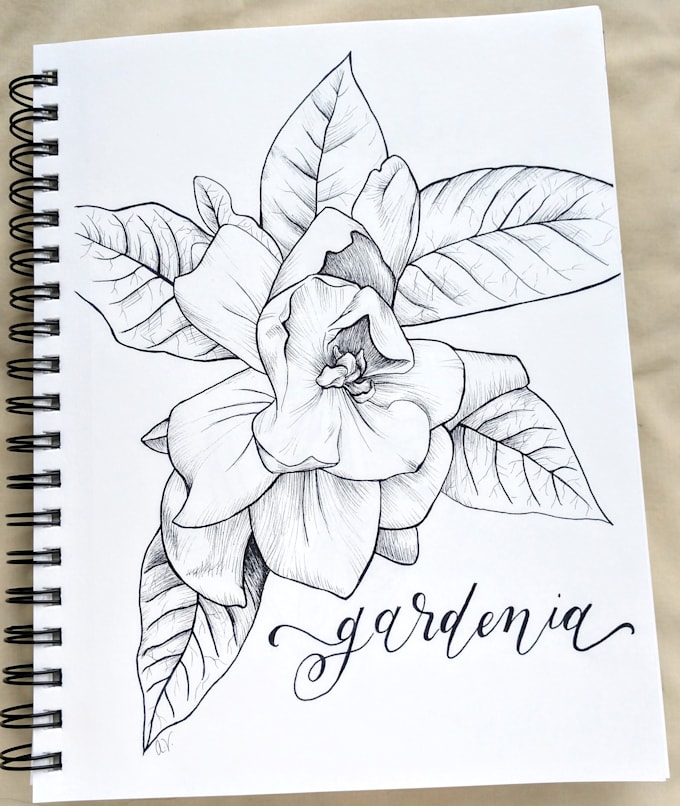 Design a gorgeous botanical pen and ink illustration by Avanekdesign ...