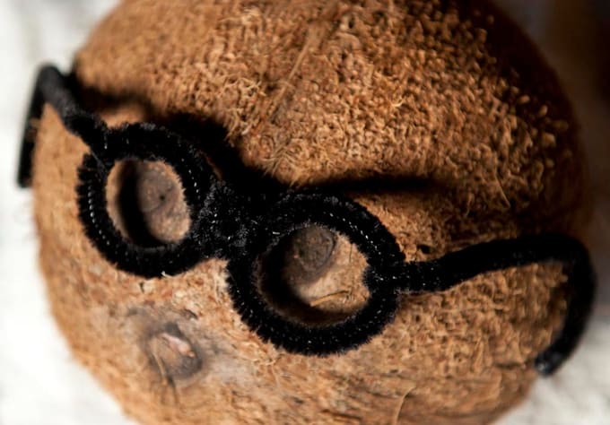 Create a coconut face/avatar of you by Cozycoconut | Fiverr