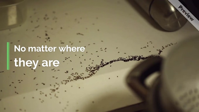 Do a tv quality commercial video ad for pest control by Sixninjas | Fiverr