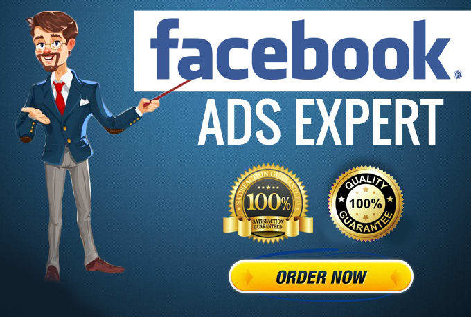 Setup pro facebook ads campaign with laser targeted audience by ...