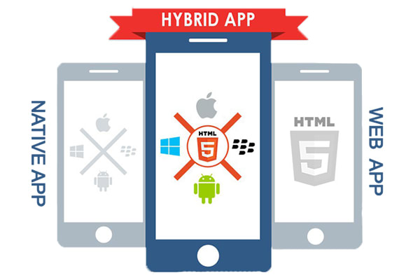 Develop beautiful hybrid apps using ionic by Amdigitals | Fiverr