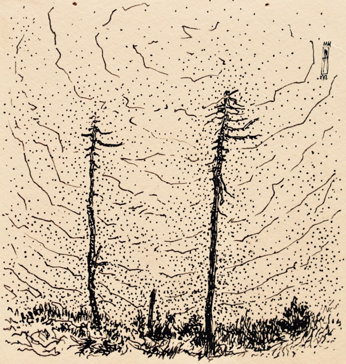 Draw digital ink landscapes by Amadisse | Fiverr