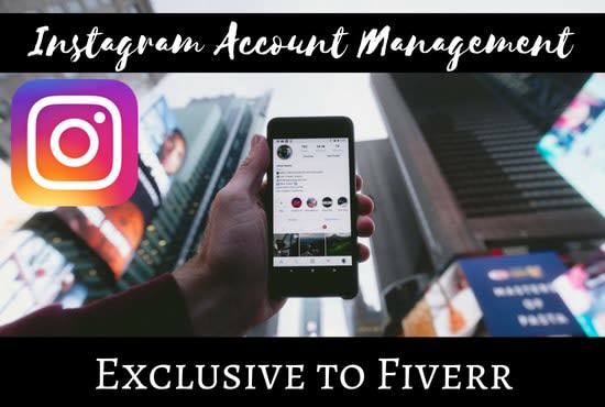 Manage your instagram account by Ascensionfit | Fiverr