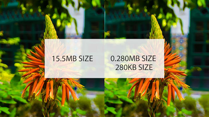 Ultra image optimization, compression, resize, optimize by Krytof | Fiverr