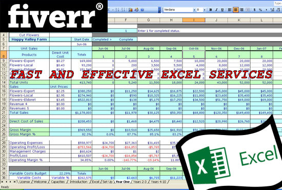 Create professional excel workbooks and spreadsheets by Shenequasemple ...