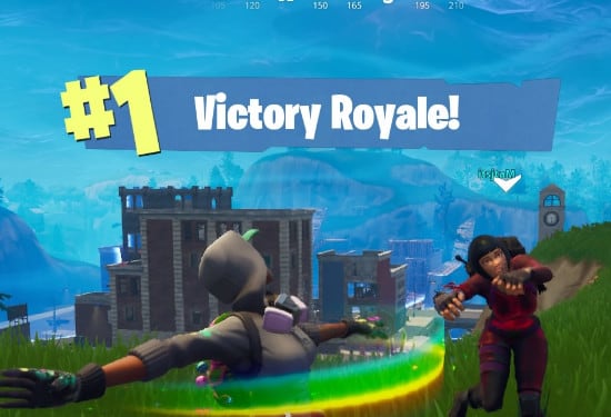 Win for you in fortnite battle royale by Mounirrb | Fiverr