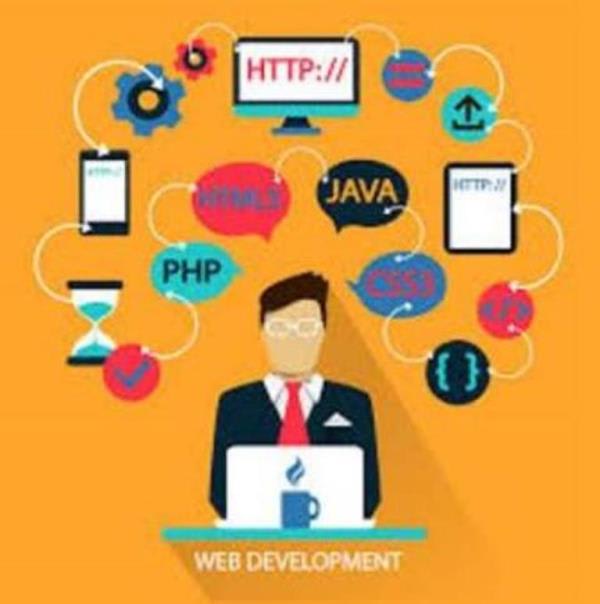 Build and fix web project in asp dot net, php, html, css and javascript ...