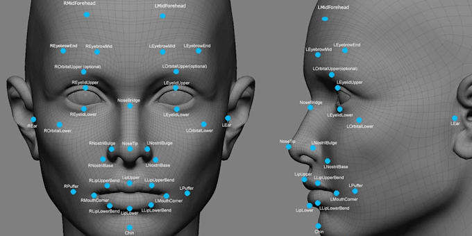 Prepare facial landmark detection dataset by Ashuamit786 | Fiverr