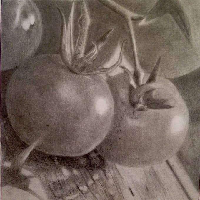 Draw a realistic graphite drawing by Ashleypmcnamara | Fiverr