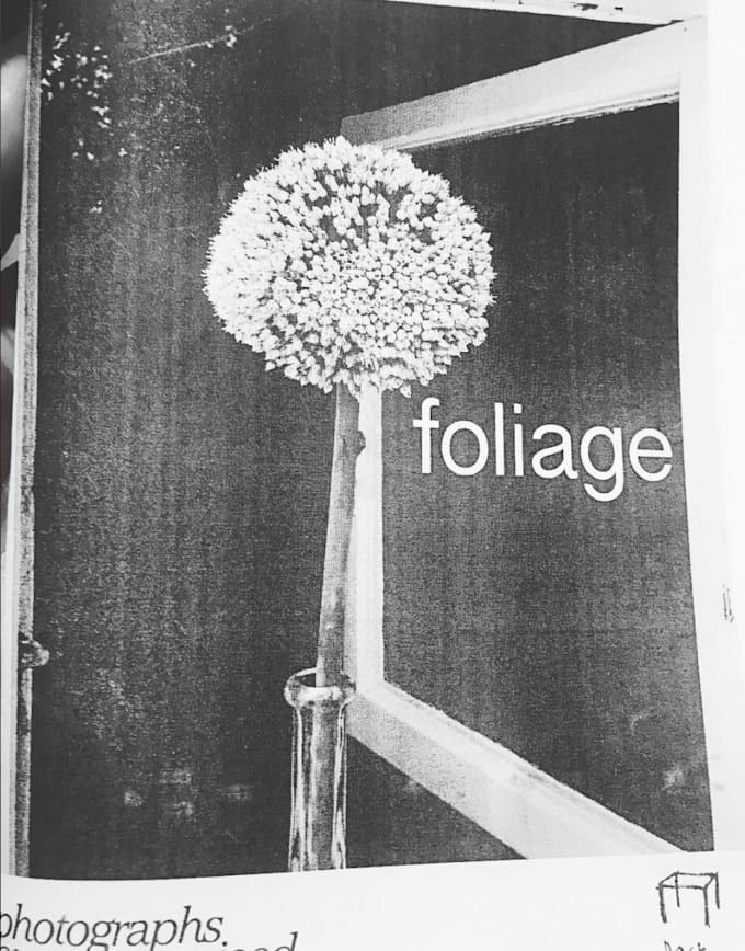 Design a diy poster or indie zine for your business by Omarmajeed1 | Fiverr