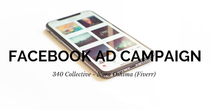 Setup and manage conversion facebook ad campaign by Naraoshima | Fiverr