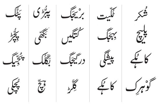 Do urdu content writing in inpage quickly by Maxgraphics_pro | Fiverr