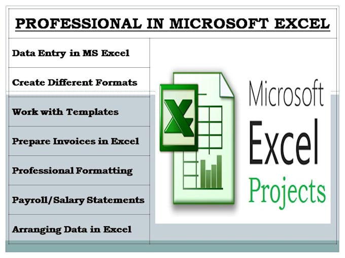 Offer professional excel spreadsheet in 4 hours by Zahidawan678 | Fiverr