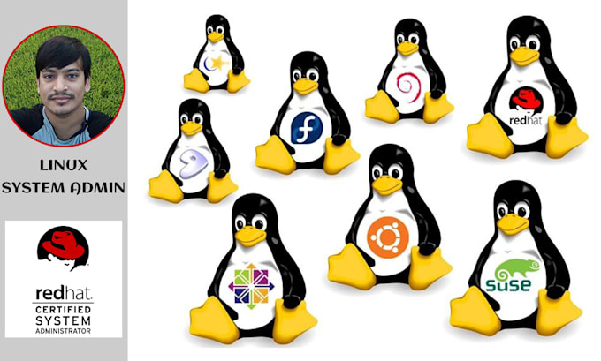 Fix linux server issues by Jewelahmmed | Fiverr