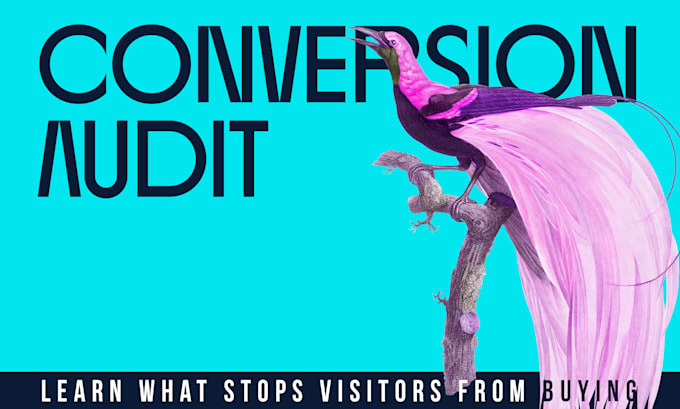 Complete a website audit for conversion rate optimization by Ishurik21 ...