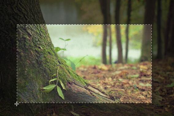 Resizing rotating and cropping an image by Riahoor | Fiverr