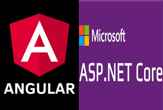 Do asp dot net website with angular by Myousufimam | Fiverr