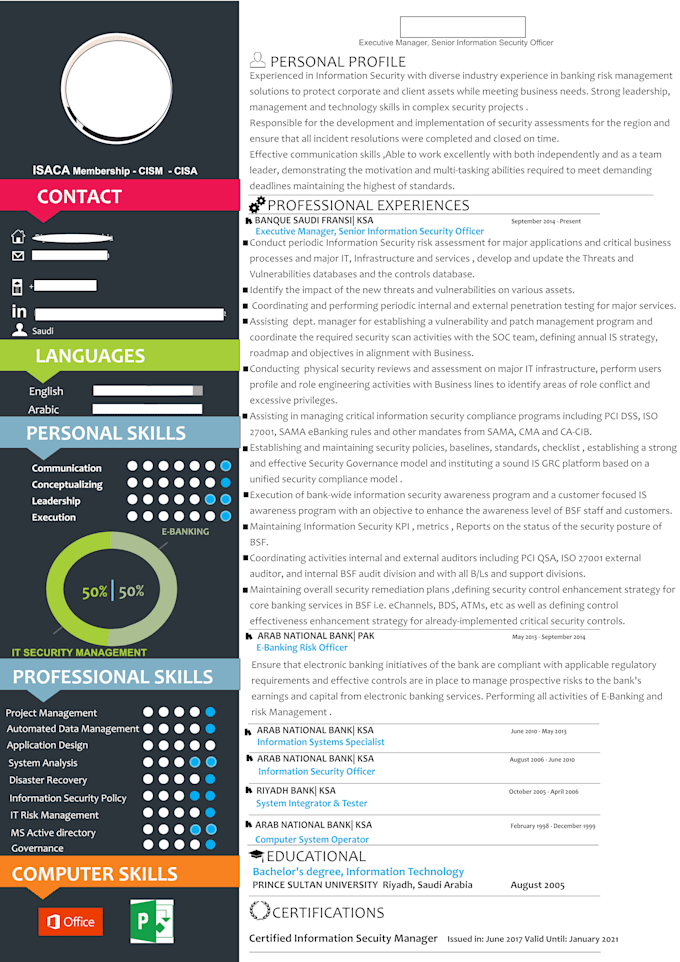 Professionally built and design your cv infographic and traditional by ...