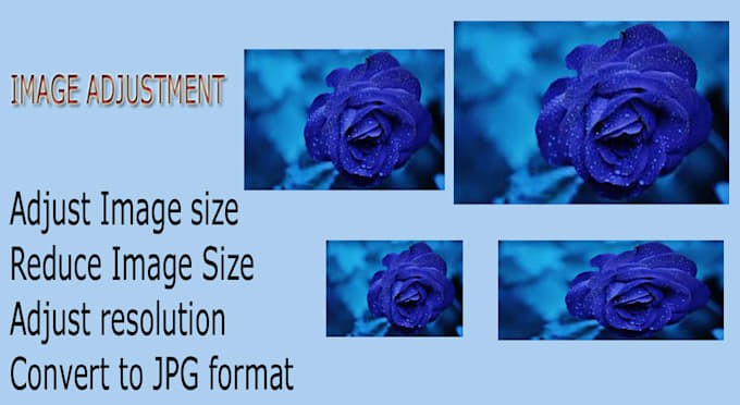 Reduce image size, resolution and dimensions by Yusrakhurram | Fiverr