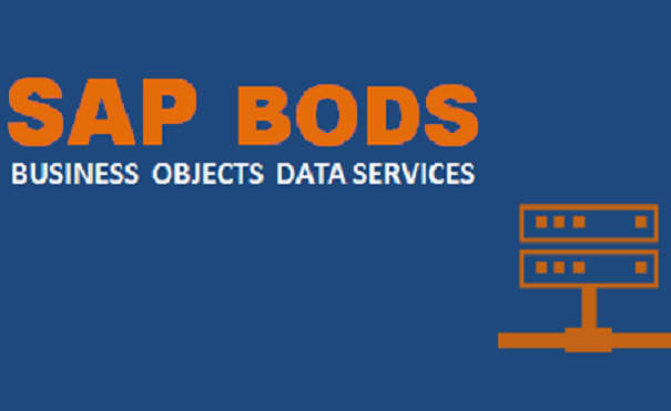 Providing you sap data services related solution by Kapilkgupta | Fiverr
