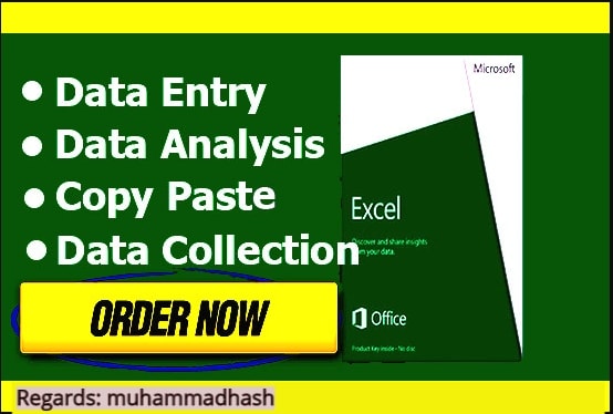 Do perfect data entry, web research, and copy paste by Muhammadhash | Fiverr