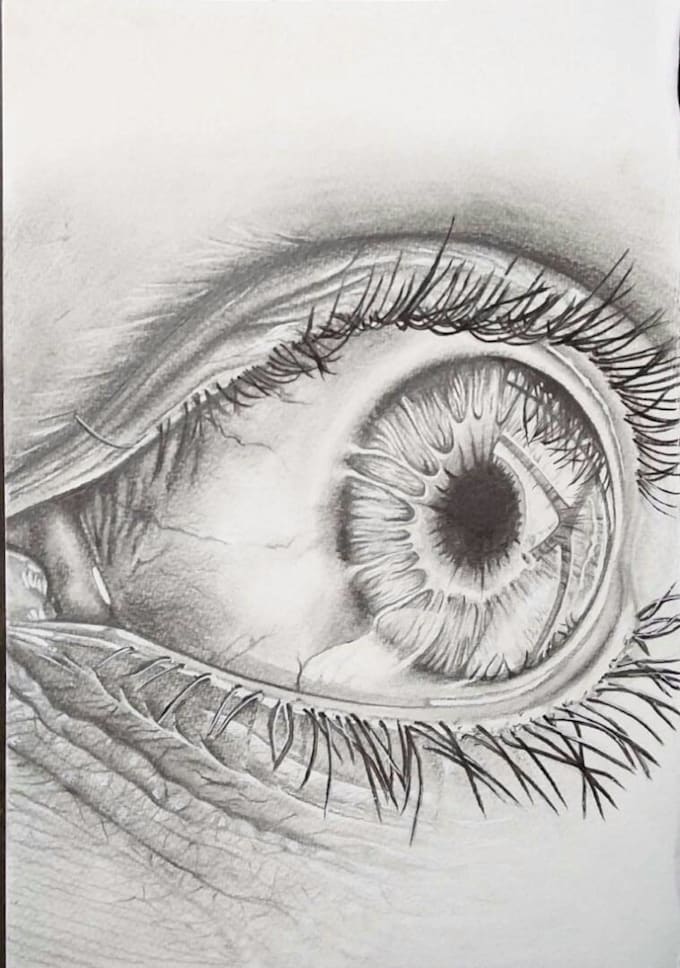 Draw a high quality portrait sketch by Harithabharath | Fiverr