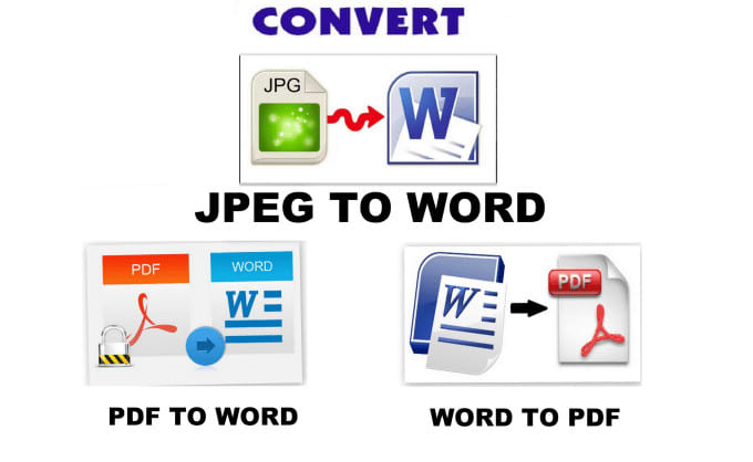 Convert your jpeg or pdf file into word file by Krystynaerkhova | Fiverr
