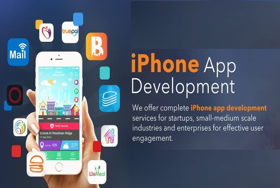 Create a perfect application for your business by Zukatotoki | Fiverr