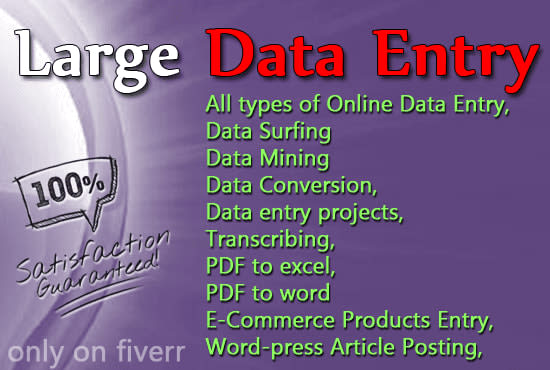 Complete any type of data entry task by Anamamjad508 | Fiverr