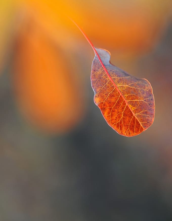 Send 20 high quality 4k random wallpapers by Sadath12345 | Fiverr