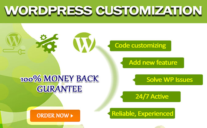 Customize, fix issues and upgrade wordpress website by Mr_2015 | Fiverr