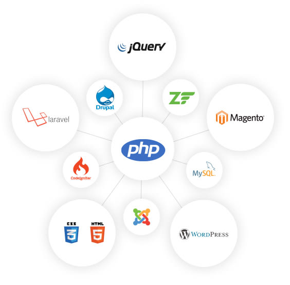 Develop web app,website using laravel,php and angular 7 by Aimalmiakhel ... Develop web app,website using laravel,php and angular 7 by Aimalmiakhel ...