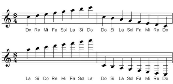 Teach solmization, reading musical notes by Briathos | Fiverr