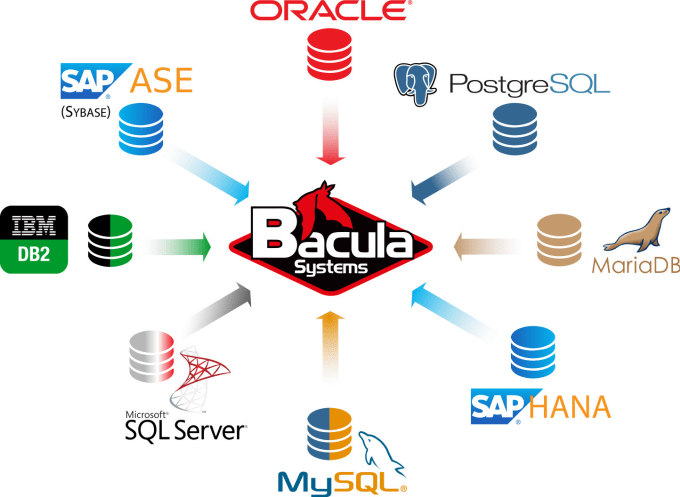 Sql Oracle Postgres Development Administration The Databases By Saqibalikhan Fiverr