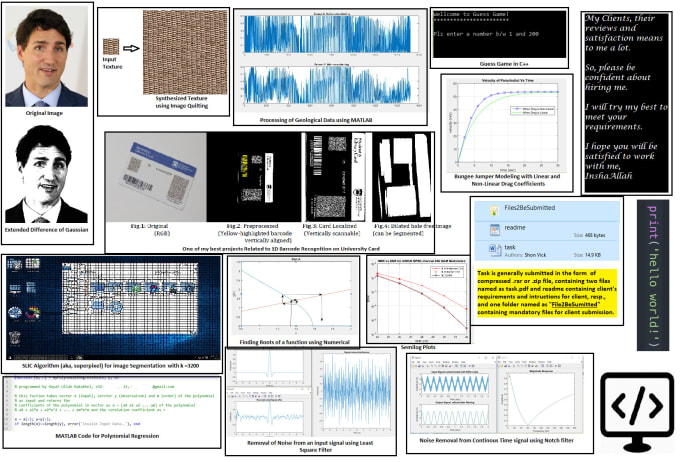 Do Your Project In Matlab Python Related To Signal Image Processing And Math By Hayatkakakhel