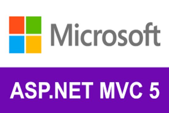 Build professional asp dot net mvc application