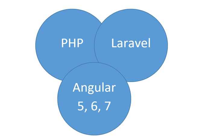 Develop website with laravel,php and angular 7 by Aimalmiakhel | Fiverr