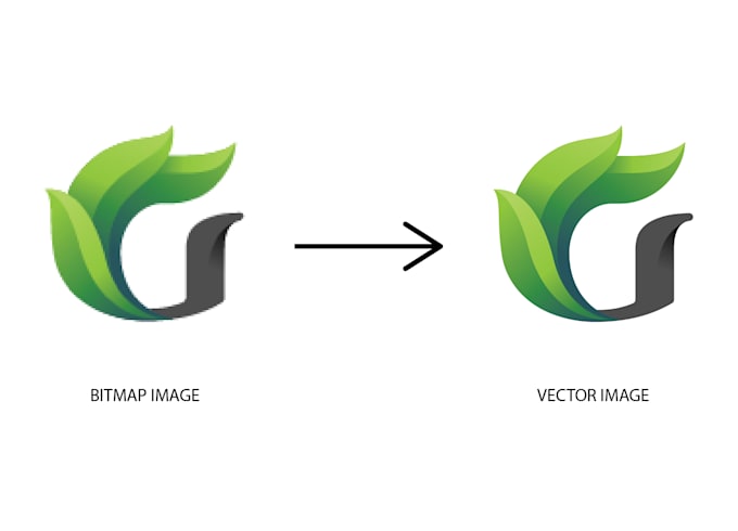 Vectorize bitmap image to a high quality vector image by Ramavankoijo ...
