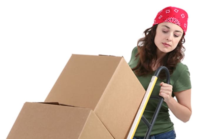 Show You Storage Auction Hunters Treasure Secrets By Successlink Fiverr