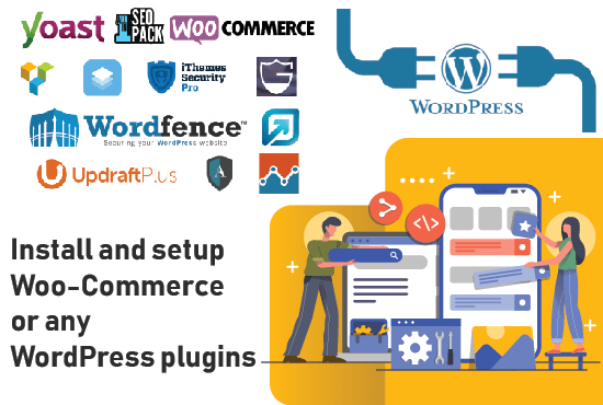 Install And Set Up Woocommerce Or Any Wordpress Plugins For You By Mr