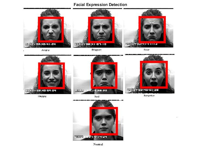 Image processing using matlab with deep learning by Amiraslam | Fiverr