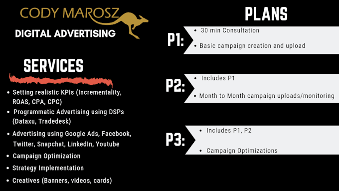 Run programmatic advertising, campaign management, optimization by ...