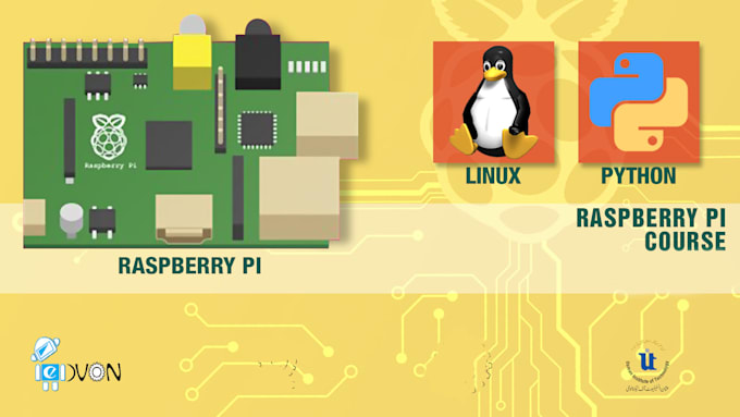 Teach raspberrypi or arduino or iot or pcb by Williamalex1 | Fiverr