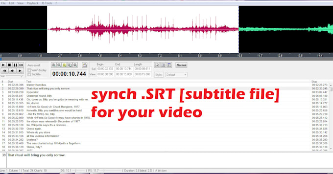 Create sync subtitle file in srt format for your video by Yanarosaini ...